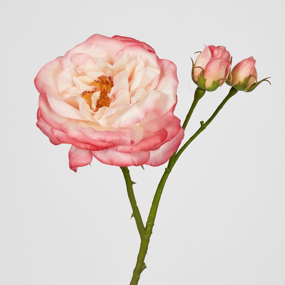Real Touch Angelina Rose Spray Pink | House of Isabella AU