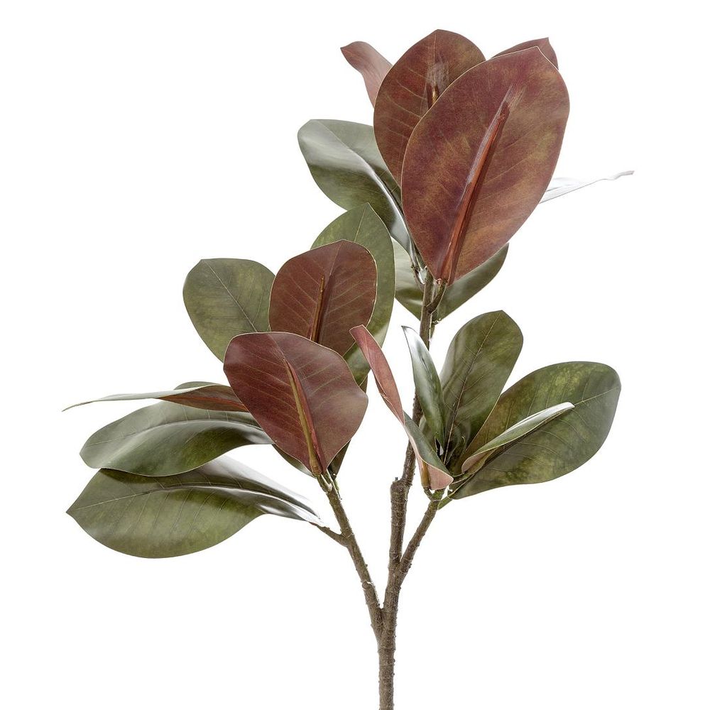 Leaf Magnolia Large 85cm | House of Isabella AU