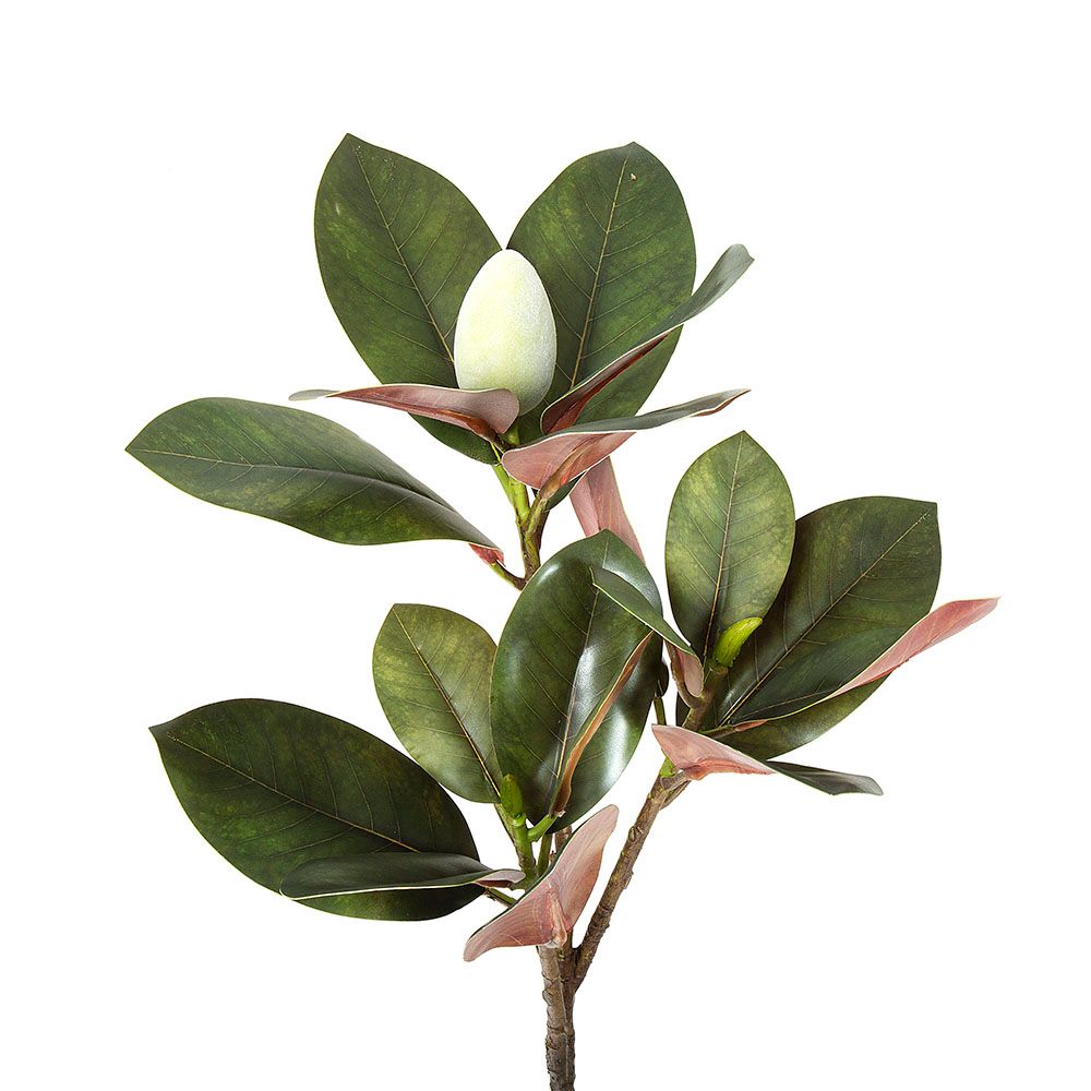 Magnolia Bud 85cm Green | House of Isabella AU
